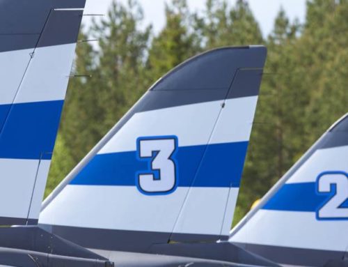 How Much Does it Cost to Fly Private with your Dog? | Airline & Charter ...